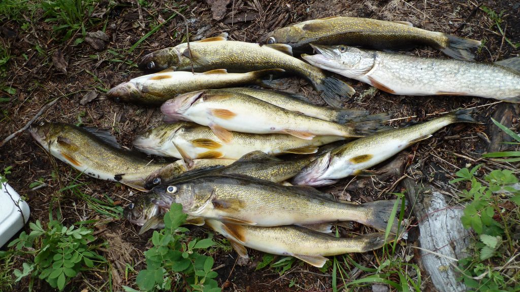 Brian Propp - Family Fishing Trip Canada - The Official Website of ...